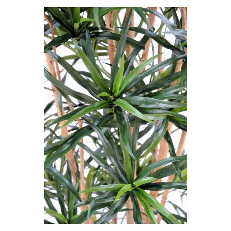 Dracaena Anita Tree - kunstplant eenvoudig en snel online bestellen?