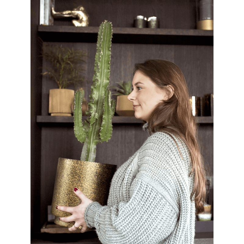 Capi Lux Terrazzo Cylinder Goud eenvoudig en snel online bestellen?