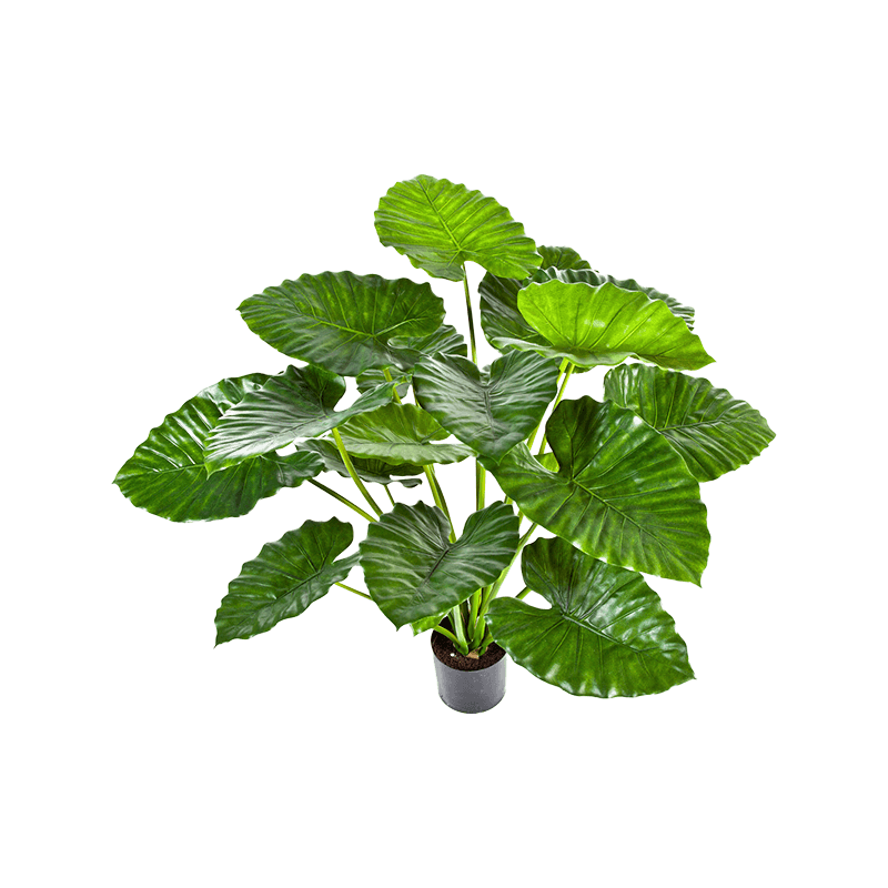 Alocasia Calidora - kunstplant eenvoudig en snel online bestellen?