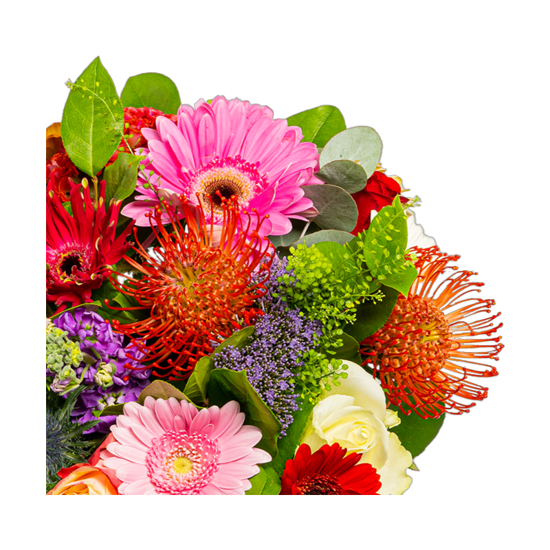 Boeket kleurrijk kim online bestellen?