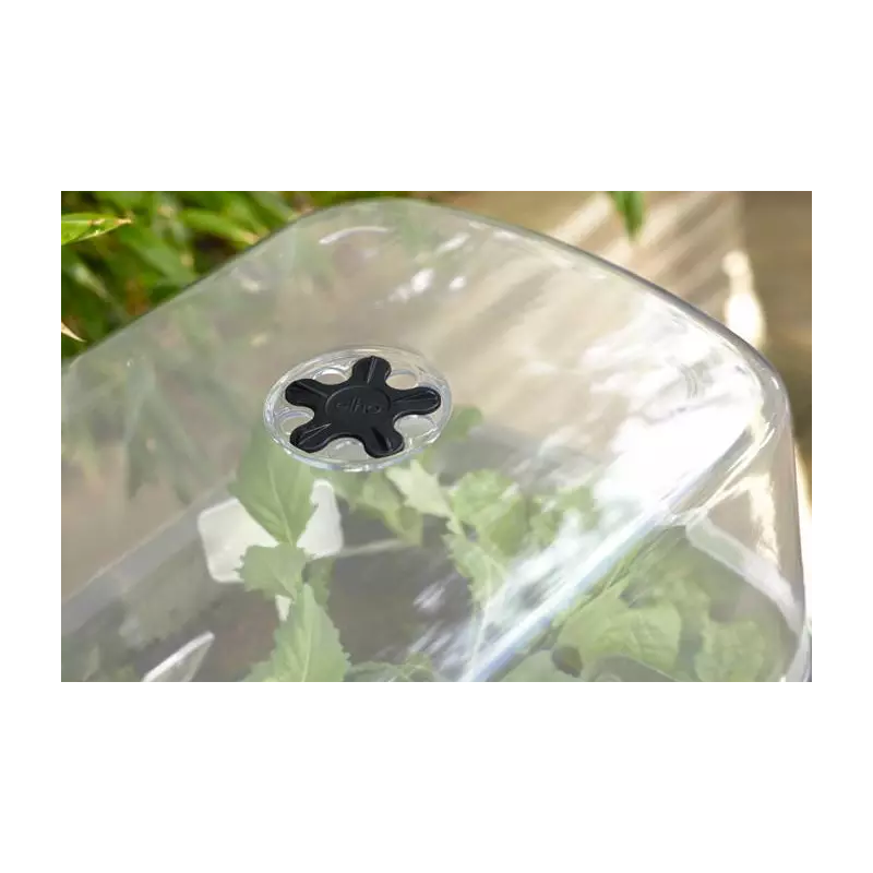 Kweektafel Zwart met kweekhuis voordelig online bestellen?