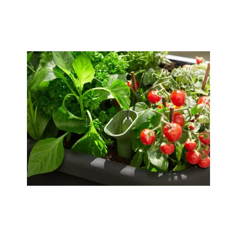 Kweektafel Zwart met kweekhuis voordelig online bestellen?