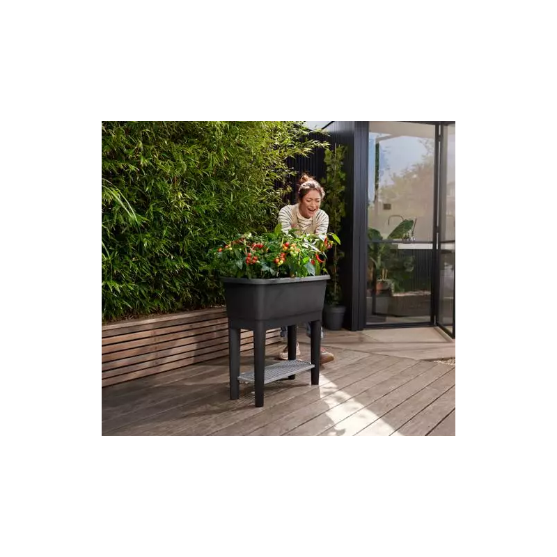 Kweektafel Zwart met kweekhuis voordelig online bestellen?