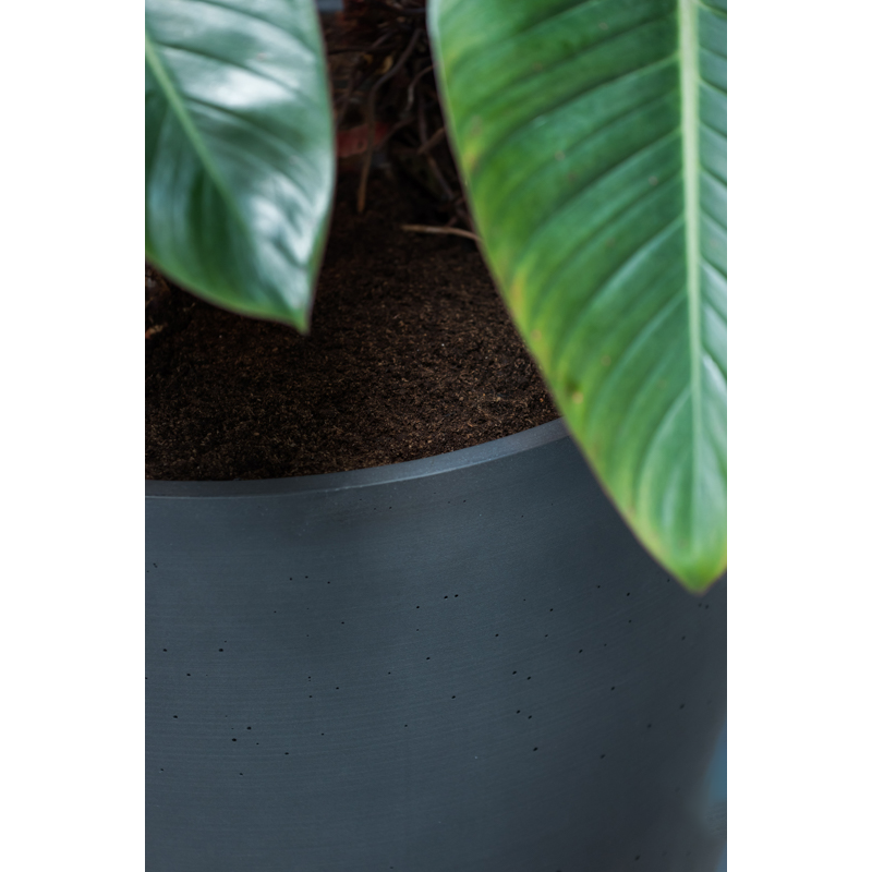 Refined Jesslyn Zwart van Pottery Pots snel online bestellen?