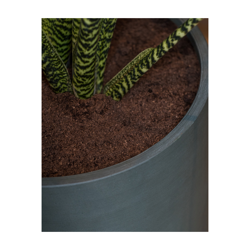 Refined Max Groen van Pottery Pots snel online bestellen?