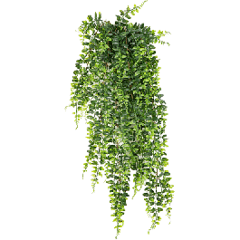 Varen Boston kunstplant eenvoudig en snel online bestellen?