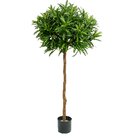 Croton Goldfinger Ball - kunstplant eenvoudig en snel online bestellen?